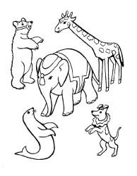 Planse de colorat cu Circul | Desene de colorat cu Circul | Circul de ...