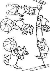 Planse de colorat cu Circul | Desene de colorat cu Circul | Circul de ...